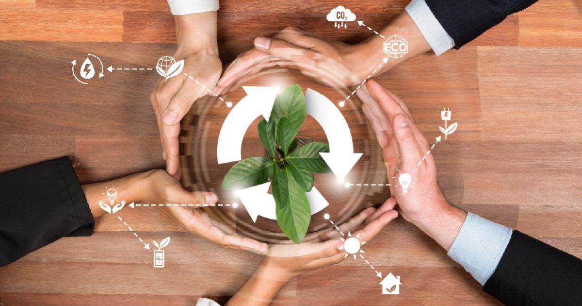 Educación y sostenibilidad: cómo promover el cuidado ambiental